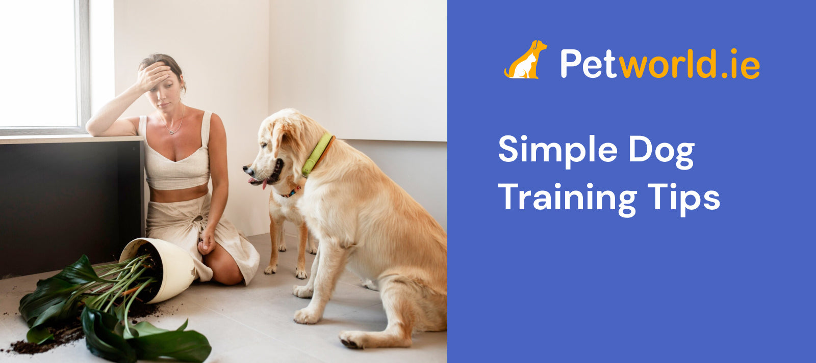 Simple Dog Training Tips for Beginners | Basic Training Guide – Valuepet.ie